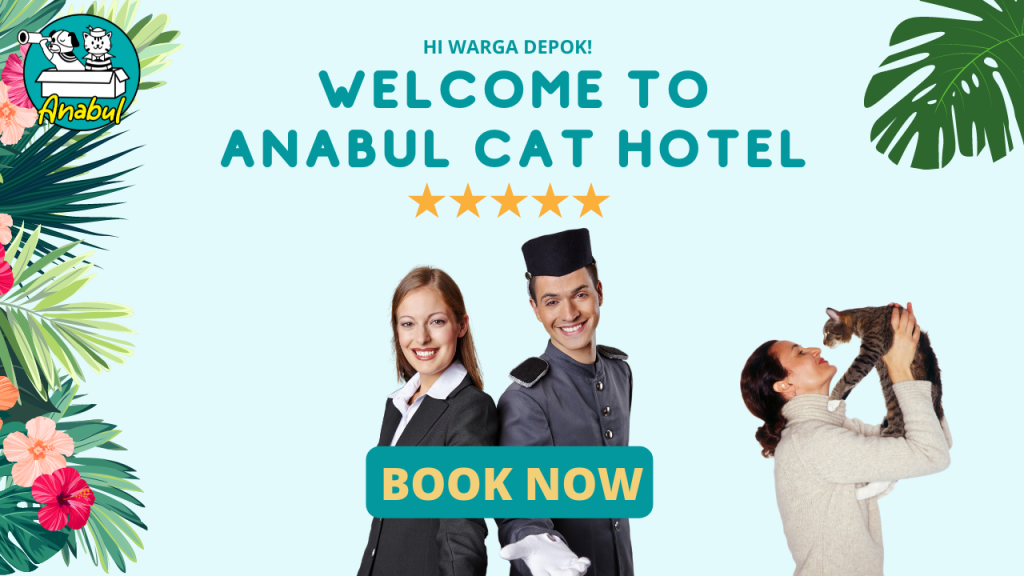 Anabul Pet Center | Pet Shop, Dokter Hewan, Cat Grooming, Cat Hotel