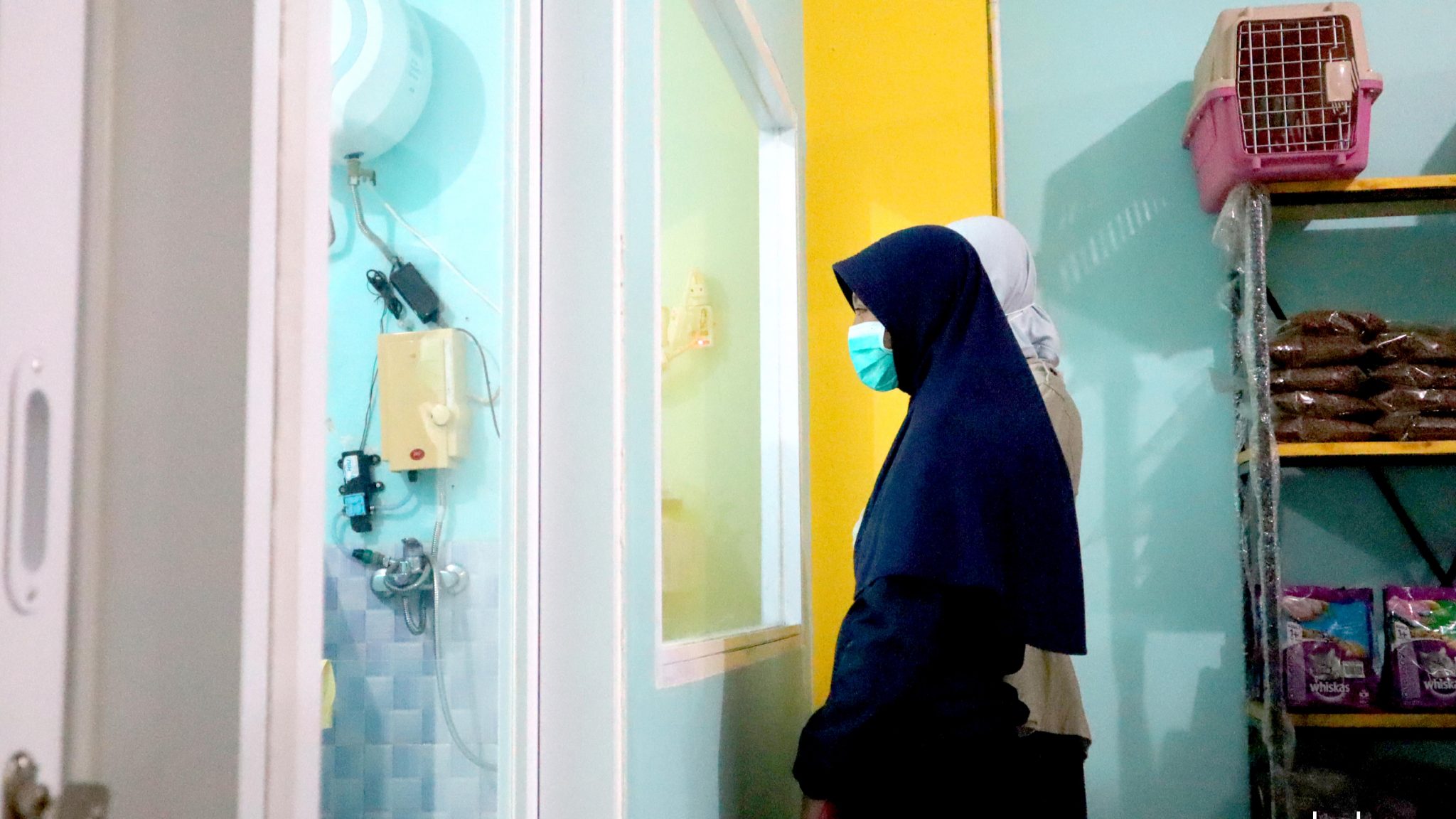 Grooming Kucing - Anabul Pet Center